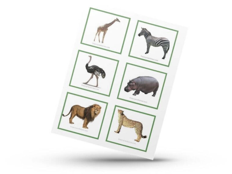 Free Printable Safari Animal Matching Cards - The Purposeful Nest