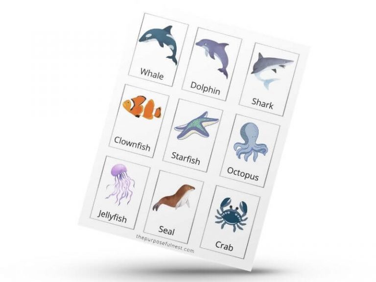 Ocean Animals Memory Cards - The Purposeful Nest