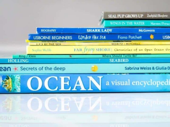 Books About Ocean Animals and Sea Life - The Purposeful Nest