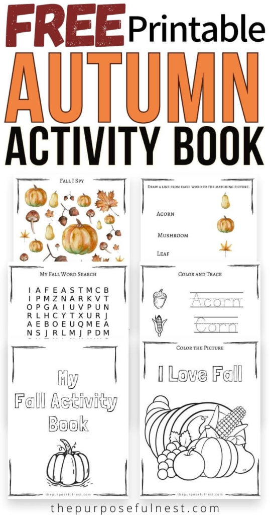 Fall Activity Book for Kids - The Purposeful Nest