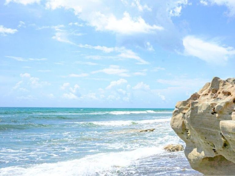 Beach Day Essentials for the Whole Family - The Purposeful Nest