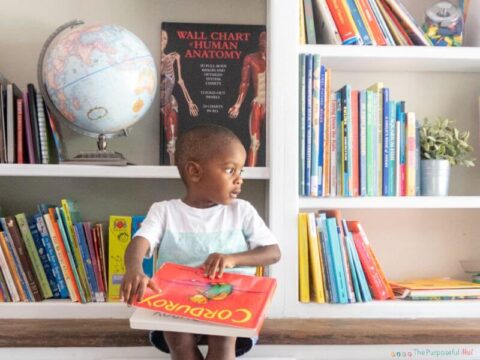 Storytime Favorites: The Ultimate List of Wholesome Picture Books for ...