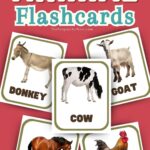 FREE Printable Farm Animal Flashcards - The Purposeful Nest