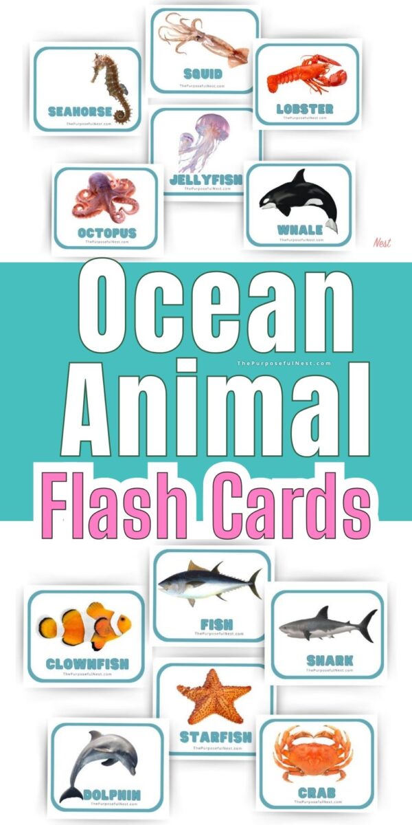 Ocean Animal Flashcards - The Purposeful Nest