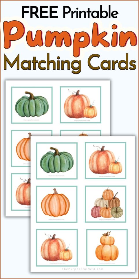 Pumpkin Matching Cards - The Purposeful Nest
