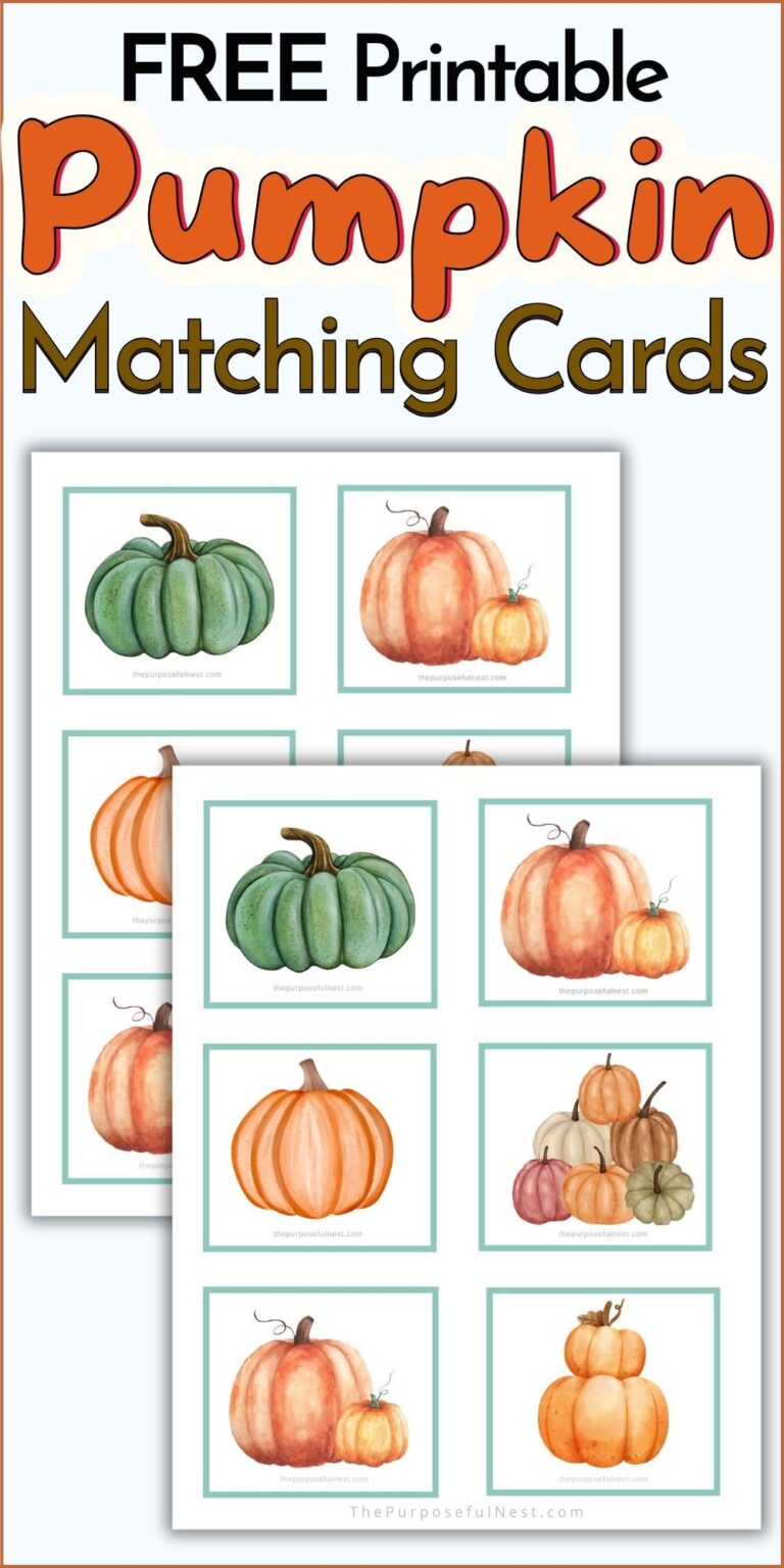 Pumpkin Matching Cards - The Purposeful Nest